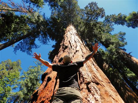 Preparing For Fourth Of July Weekend At Sequoia And Kings Canyon