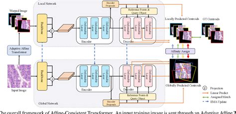 Figure From Affine Consistent Transformer For Multi Class Cell Nuclei Detection Semantic Scholar
