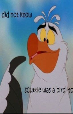 The Little Mermaid Scuttle Quotes