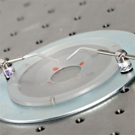 Scientifica Slice Recording Chamber Kit