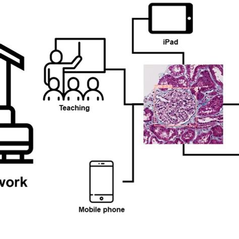 Schematic Diagram Of The Model Deployed In The Lan Download