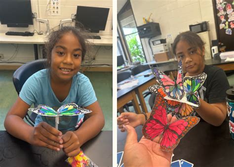 Stem Butterflies Collage Honolulu Community Action Program