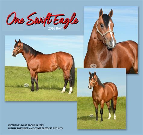 Firewater Frenchman Welcome