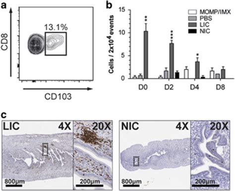 Kinetics Of Trm Cells Cd3cd8cd103 Following Immunization And
