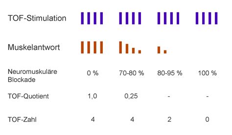 The Figure Shows A Train Of Four Blocks At Dawn Lovelace Blog