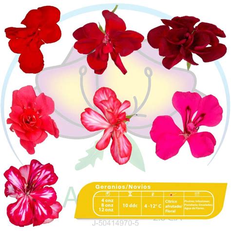 Geranios Novios Complementos Cuisine