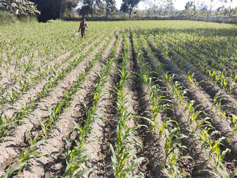 B M Hasibul Hasan On Linkedin Startups Agrigate