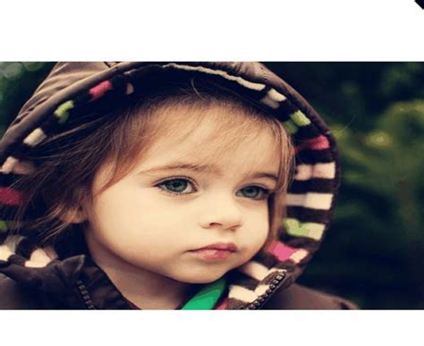 长期更新 WPF样式收集 知乎