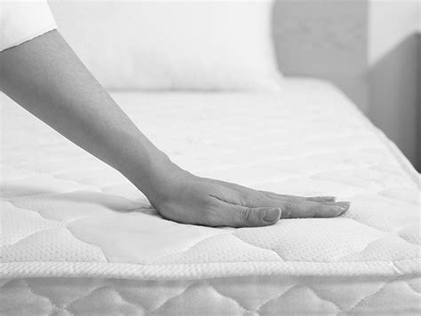 Do You Have Bed Bugs