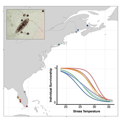 Adapting To Variable Environments Exploring Gene Flow In Organisms