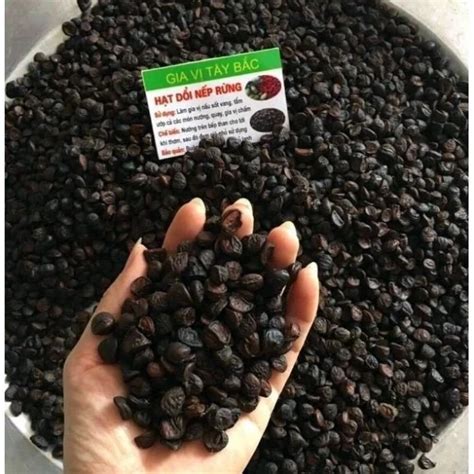 Hạt Dổi Nếp Rừng Tây Bắc Gia Vị đặc Sản Vùng Cao 50g 25g 10g Giá