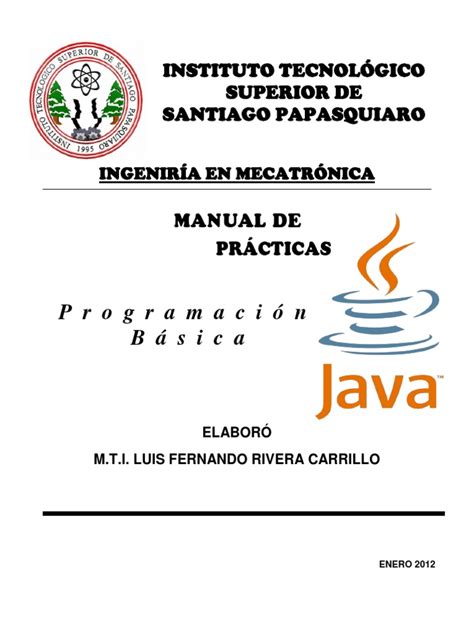 Manual De Practicas Programacion Basica Pdf División Matemáticas