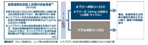 Checkmate 274 試験国際共同第Ⅲ相試験概要 Bms Oncology Checkmate 274 試験国際共同第Ⅲ相試験概要 Bms Oncology