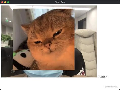 webrtc 实现人脸识别开启掘金成长之旅！这是我参与「掘金日新计划 · 12 月更文挑战」的第4天，点击查看活动详情 掘金