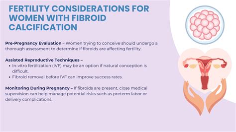 Ppt How Fibroid Calcification Affects Fertility Powerpoint