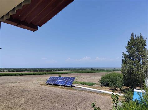 About Flavor Of Tibaani