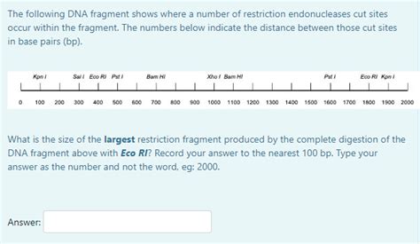 Solved The Following DNA Fragment Shows Where A Number Of Chegg