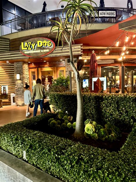Lazy Dog Restaurant And Bar Torrance California Restaurant Happycow