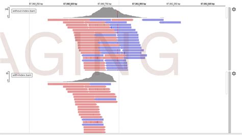 Bam Index Bug Causes Wrong Data Shown · Issue 1280 · Igvteamigvjs