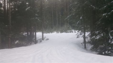 Monte Cristo Snowshoe