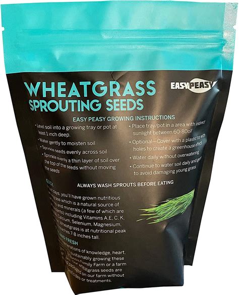 Wheatgrass Sprouting Seeds Plant Care Products Easy Peasy Plants