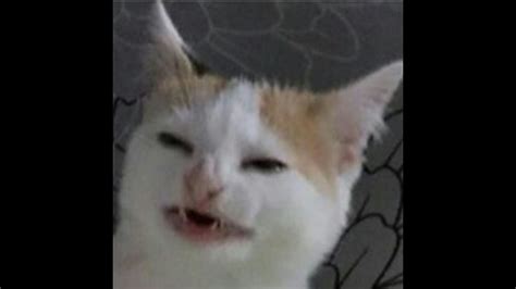 Downs Feat Lil Barnacle Youtube Music