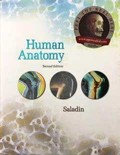 Human Development Second Edition