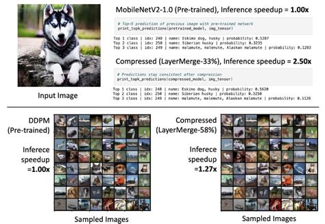 i am going to present our new icml2024 paper “layermerge neural