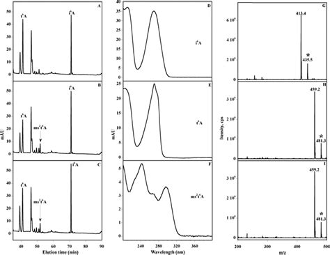 Hplc Uv Visible Detection And Mass Spectra Of I 6 A T 6 A And Ms 2
