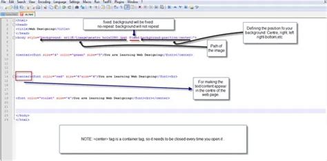 How To Design Amazing Web Pages Using Basic Html Forward Computing