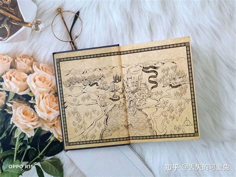 哈利·波特的魔法世界 知乎