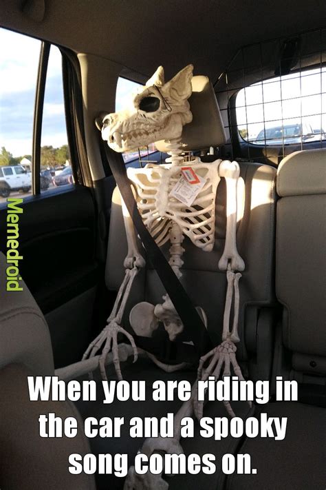 The Best Werewolf Memes Memedroid