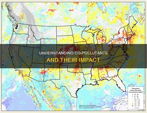 Understanding Co Pollutants And Their Impact Shunwaste