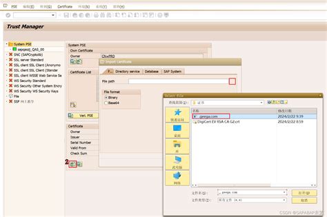 【sap basis】接口证书过期，通过strust导入 sap strust csdn博客