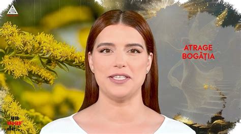 Un Vârf De Splinuță Aleph News