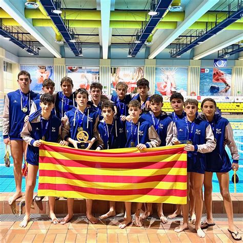 Natacio Cat Federació Catalana De Natació