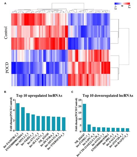 figure 2 from microarray expression proﬁles of lncrnas and mrnas in