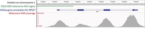 The Search For Cis Regulatory Driver Mutations In Cancer Genomes Oncotarget