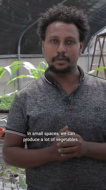 Hydroponic Farming In Ethiopia Shorts Youtube