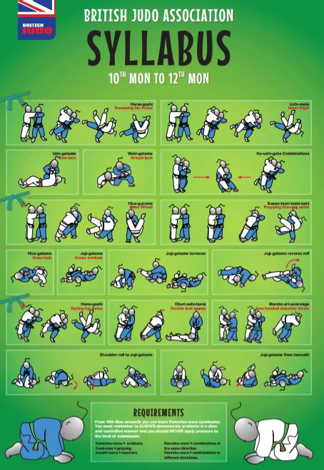 Grading System Renzoku Judo