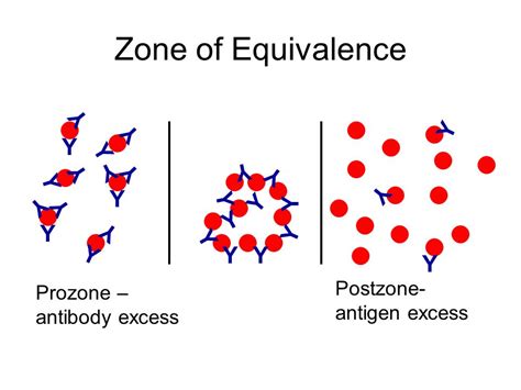 Module One Precipitation And Agglutination Methods Ppt Download