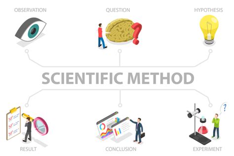 3319 Scientific Method Labeled Educational Scheme 7981159