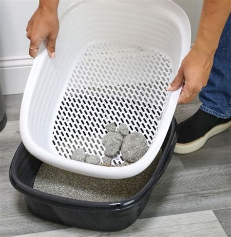 Sifter Cat Litter Box
