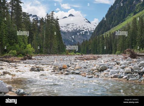 View Of Icy Peak And Nooksack River From Nooksack Cirque Trail North