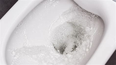 Spotting And Fixing A Leaky Loo Fluidmaster