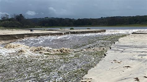 Illegal Trench Dug To Connect Sensitive Tallow Creek To Ocean Byron