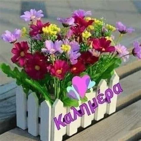 Pin Di E X Su Wishes