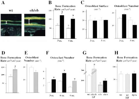 Adrenal Gland Hyperfunction Semantic Scholar
