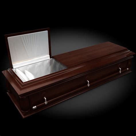 3d Model Of Coffin Wood