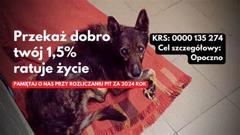 Moje Wszystkie Kundle Added A New Moje Wszystkie Kundle